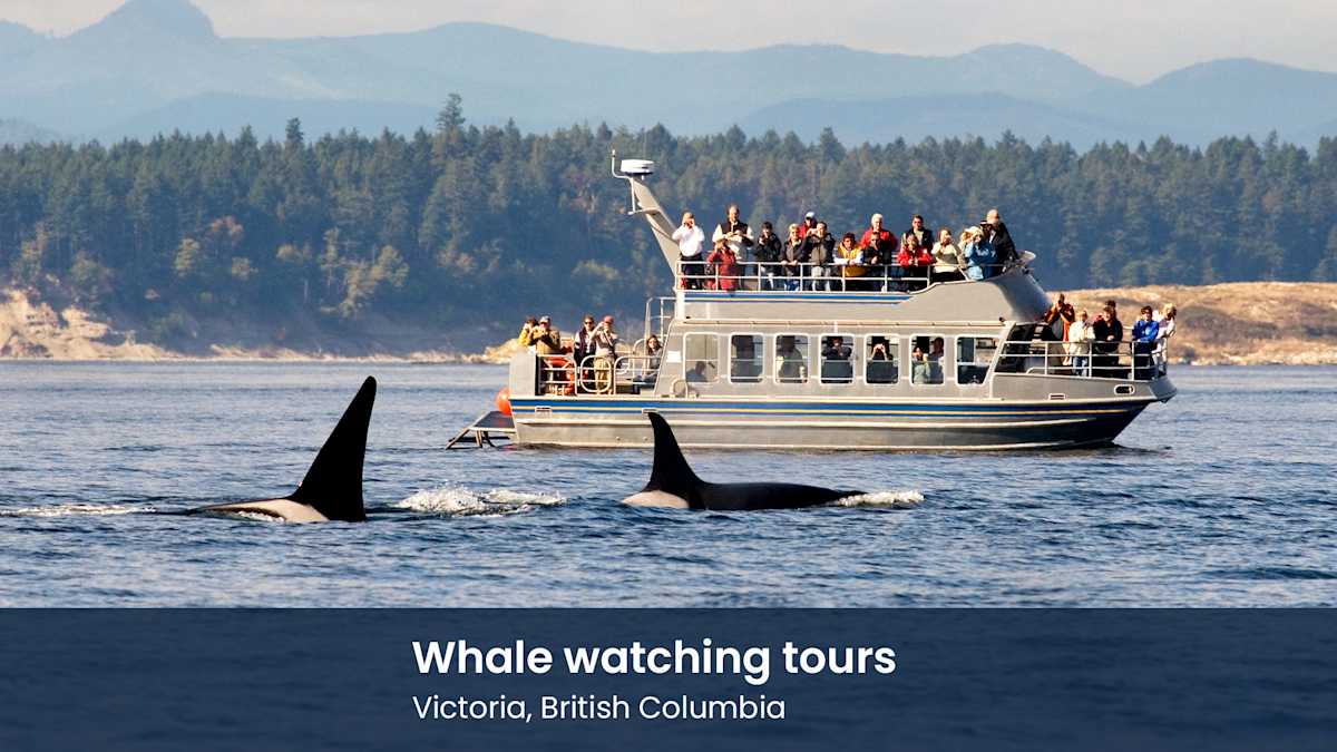 Best Canada vacations – Cheap Canadian travel packages ...