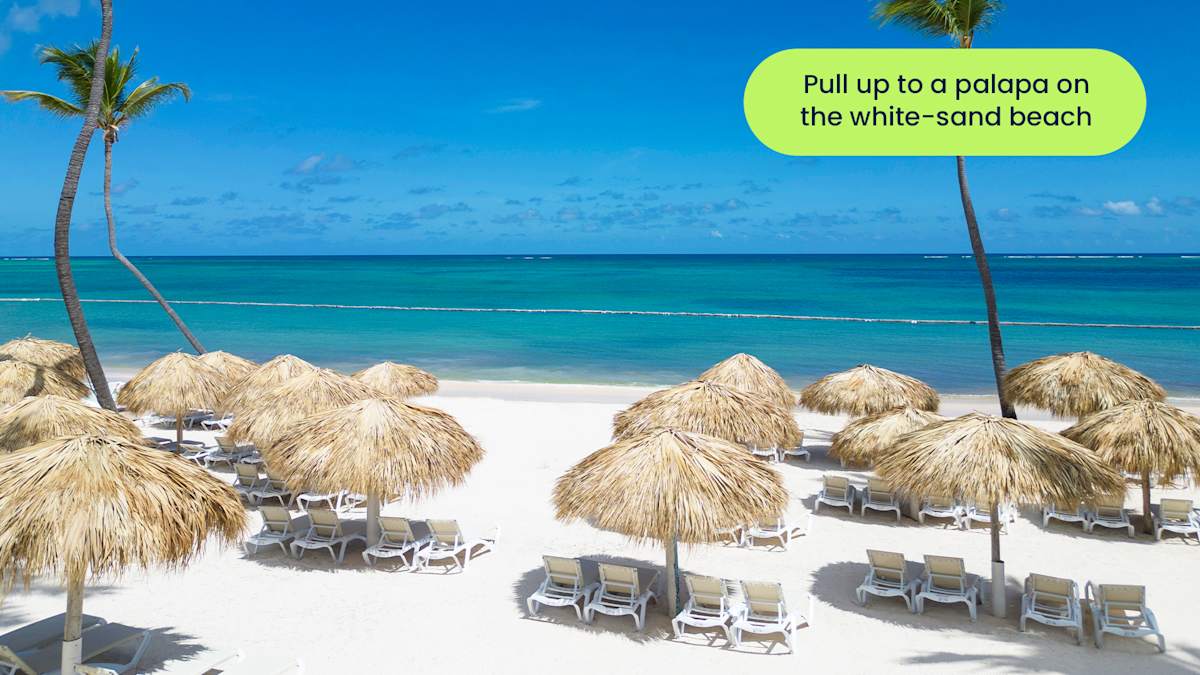 Sunscape Coco Punta Cana | All-Inclusive Family Resort ...