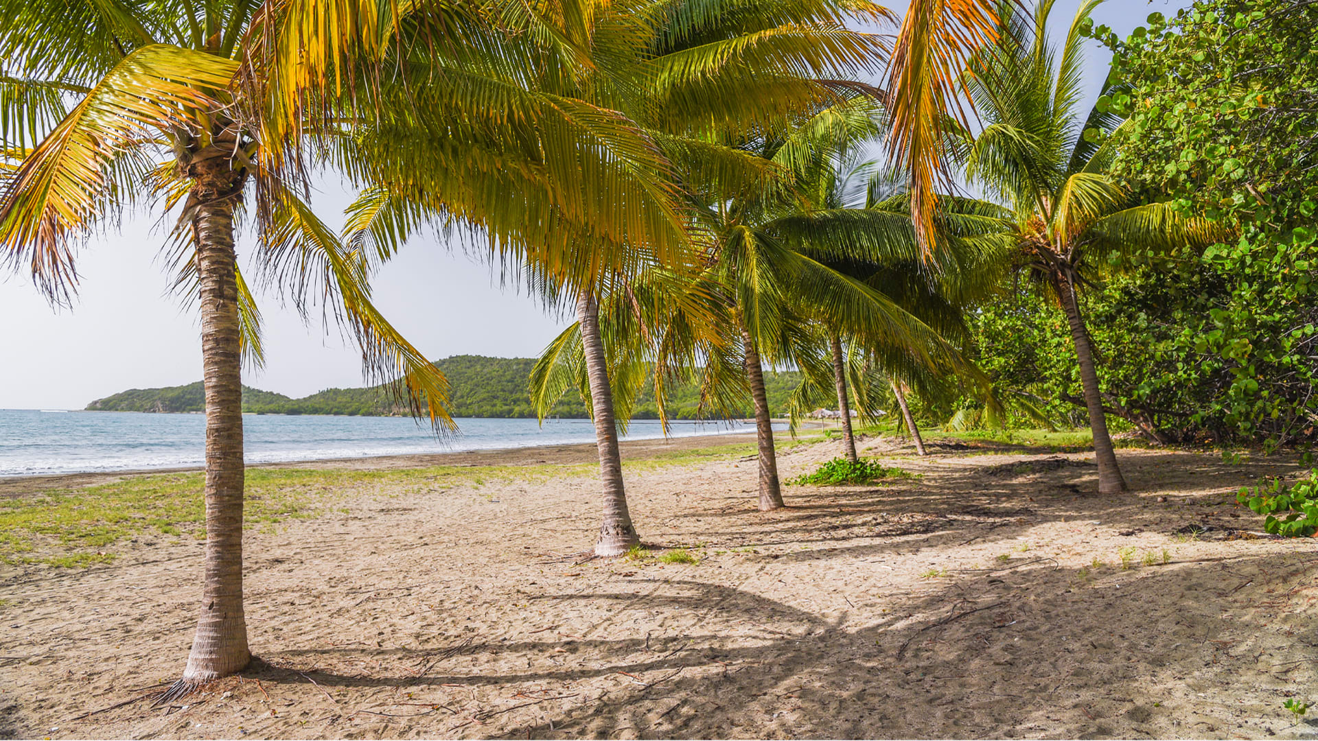 Manzanillo de Cuba Vacations - Vacation Packages & Cheap Last Minute ...