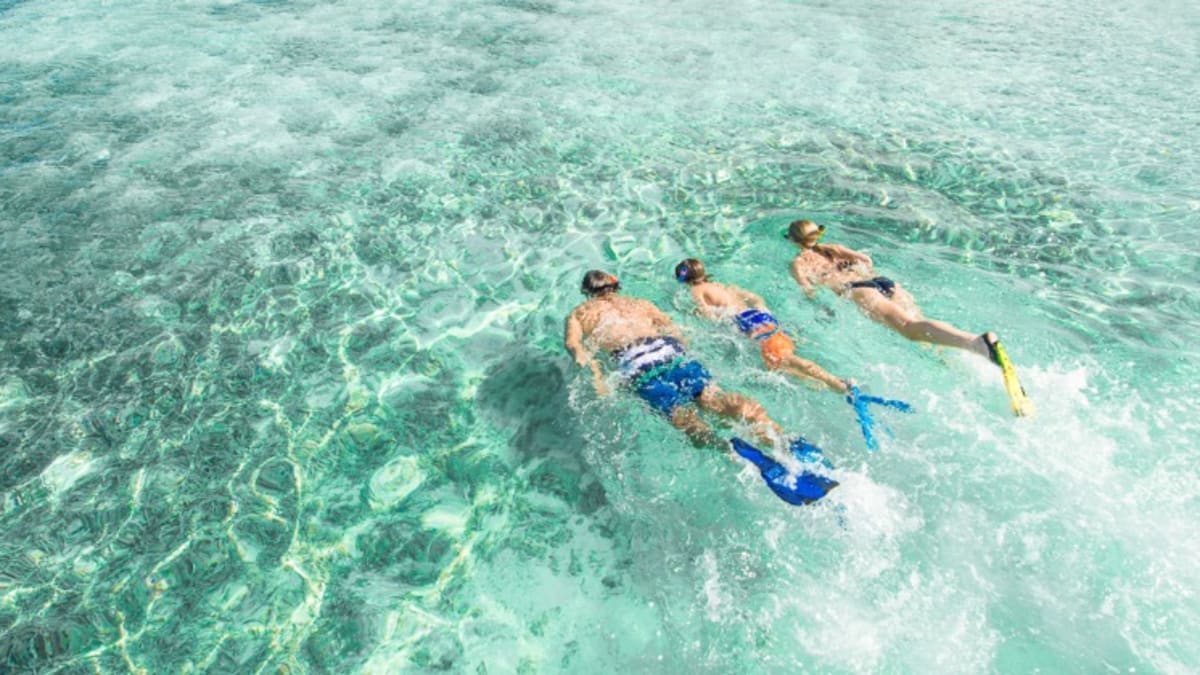 1140x420 - Banner.jpg